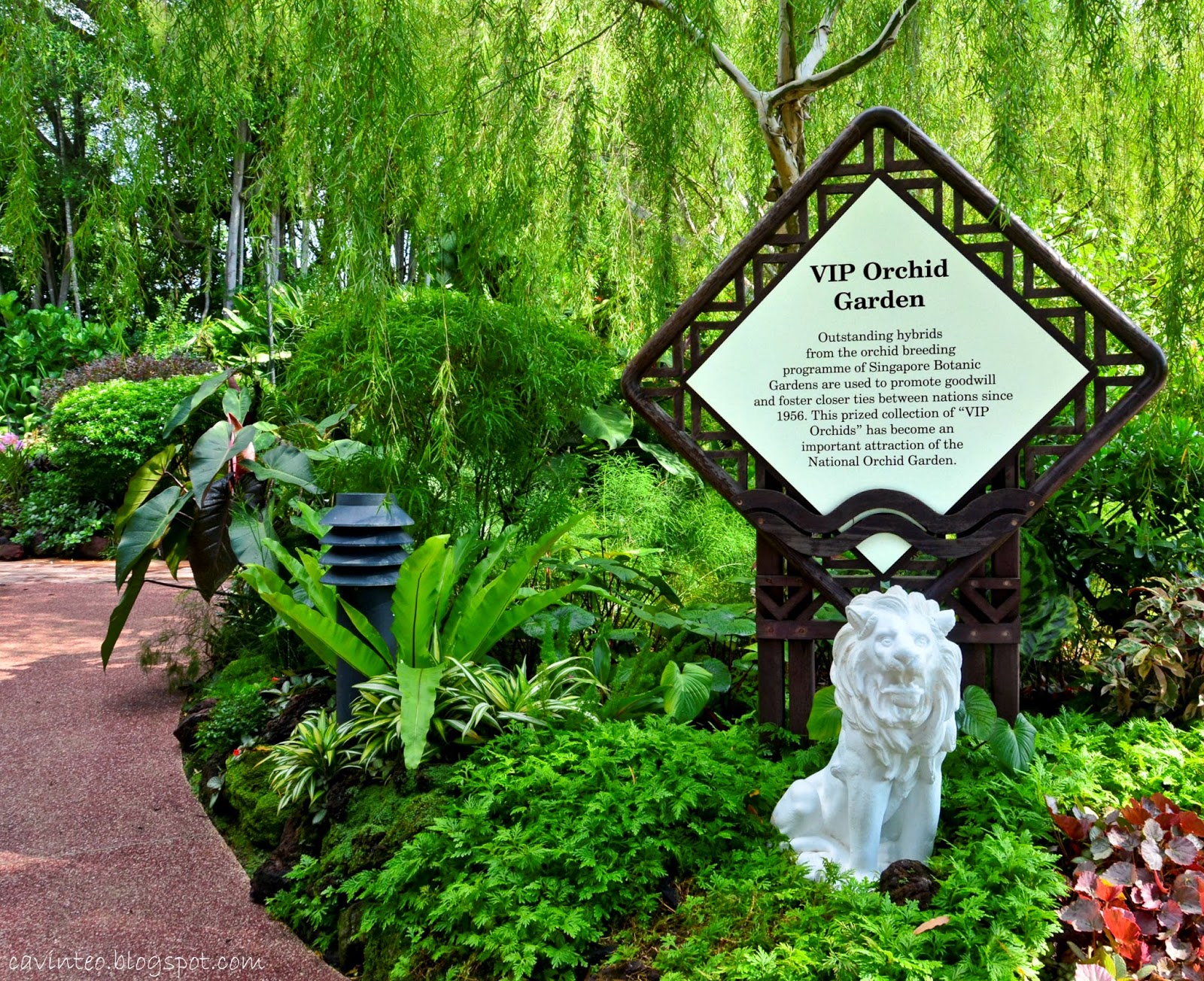 Entree Kibbles: VIP Orchid Garden (besides Burkill Hall) @ National ...